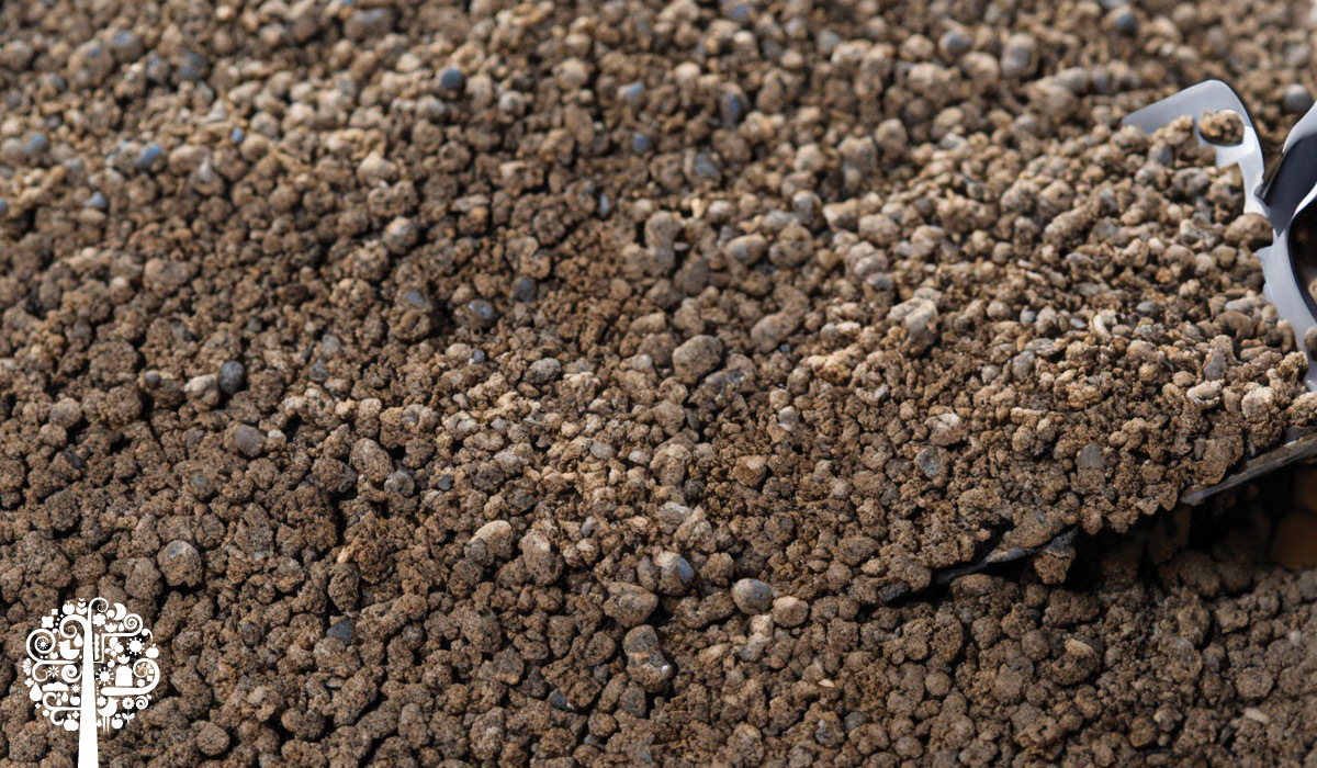 Bat Guano: The Superfood With A Bad Rap | GCM