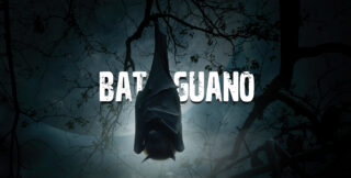 Bat Guano: The Superfood With A Bad Rap | GCM