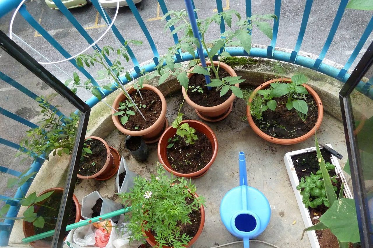 Organic Is Best - Even In Containers | Garden Culture Magazine