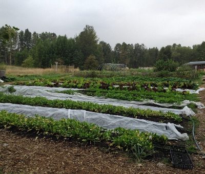 University Gardens that Give Back by Growing | Garden Culture Magazine