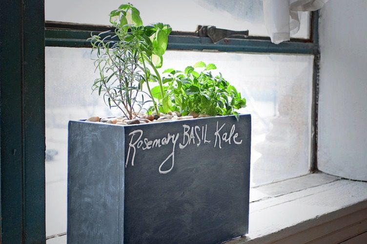 Modern Sprout: Sustainable Windowsill Hydro Gardening | Garden Culture ...