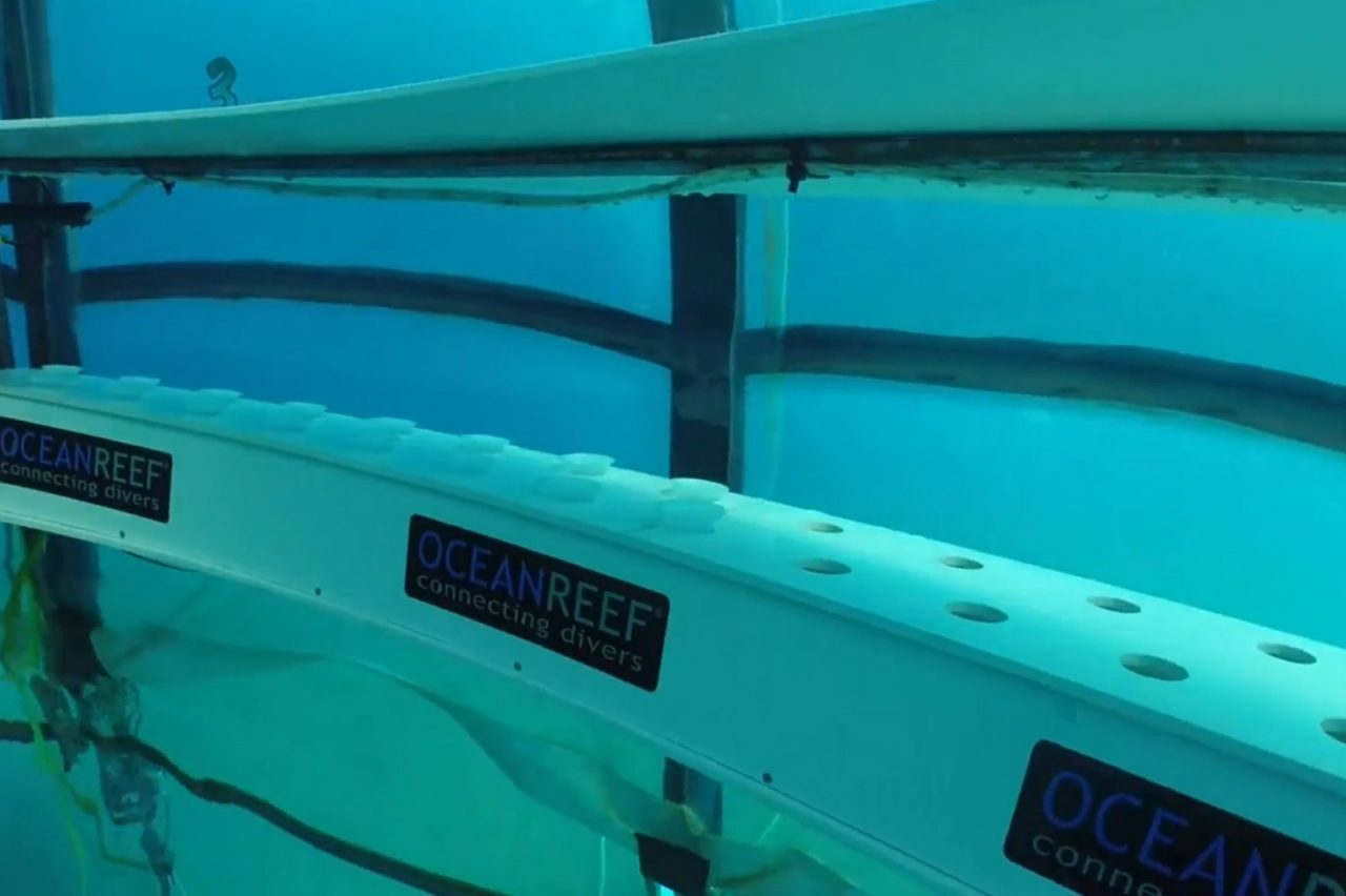 Growing Below Sea Level