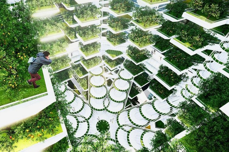 Seoul Food: Vertical Farming in South Korea | Garden Culture Magazine