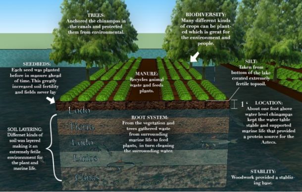 Chinampas: Urban Farming In Mexico City | Garden Culture Magazine