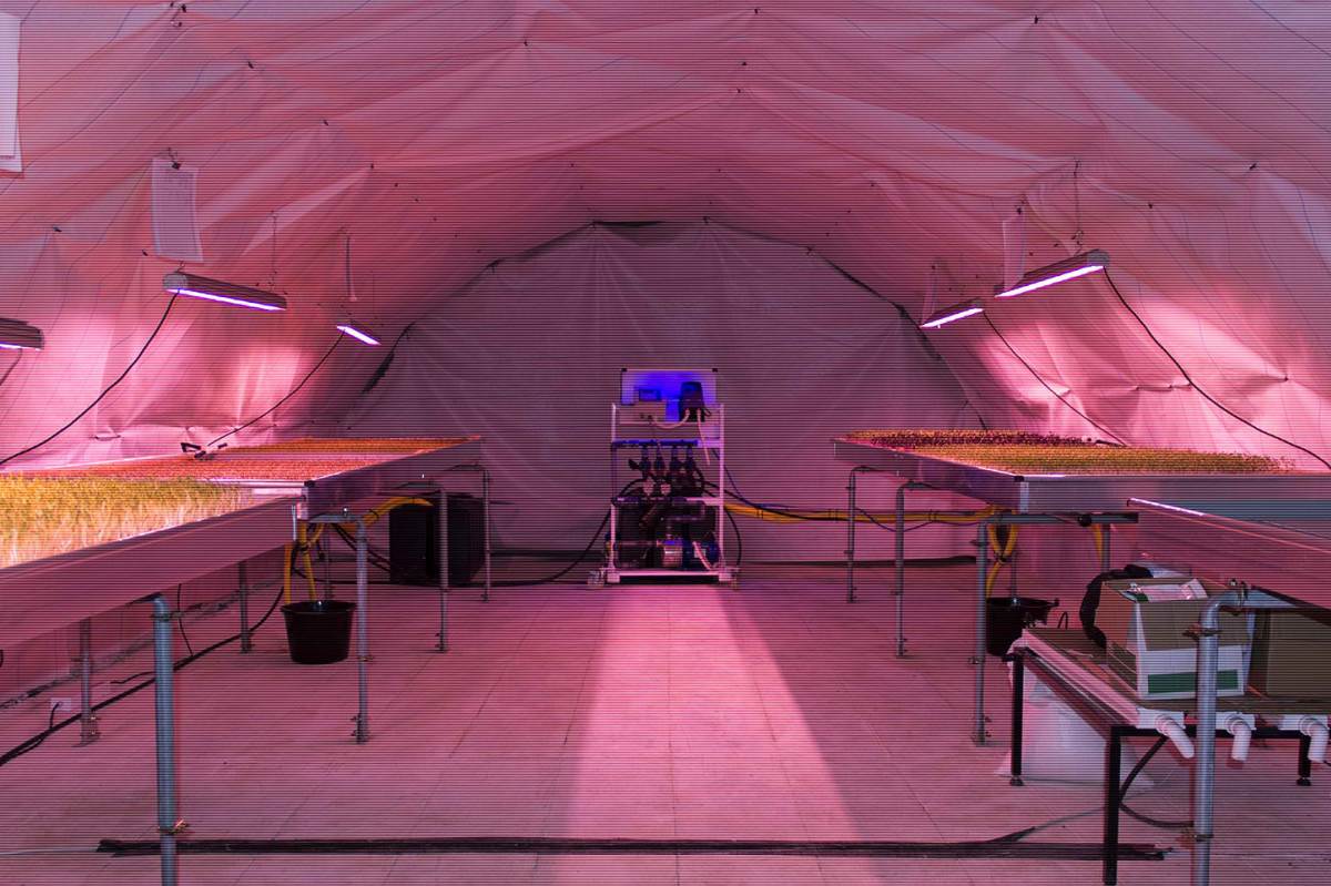 Hydroponic Growing Goes Down | Garden Culture Magazine