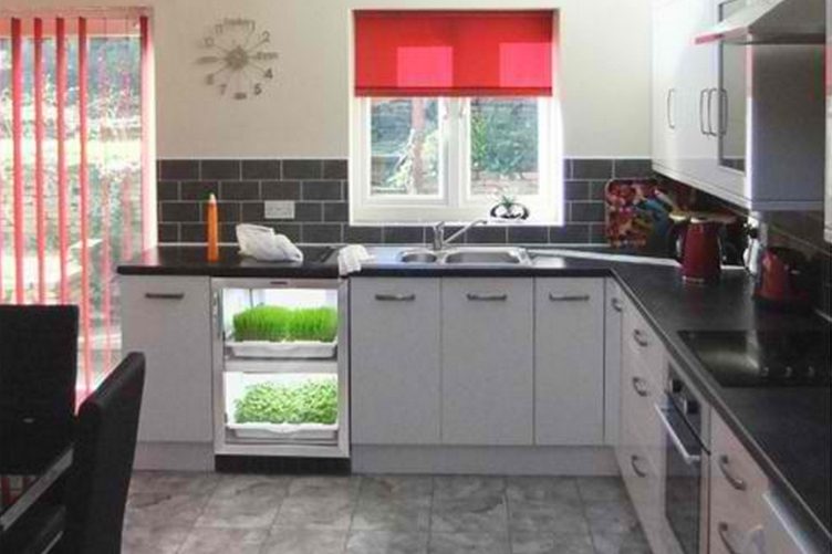 Computerized Indoor Kitchen Garden | Garden Culture Magazine